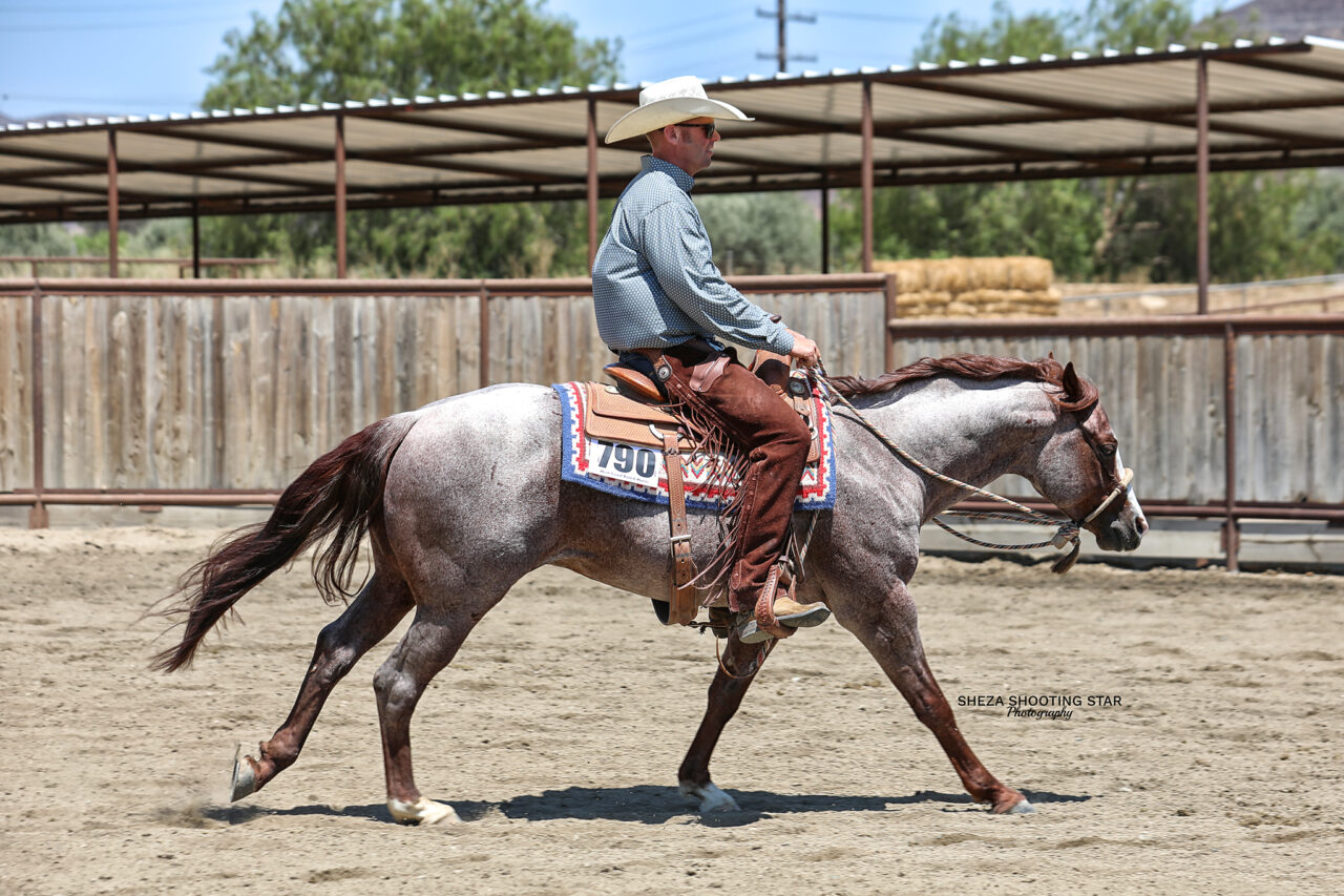 | WCRH 2021 Ranch Horse Spectacular Show