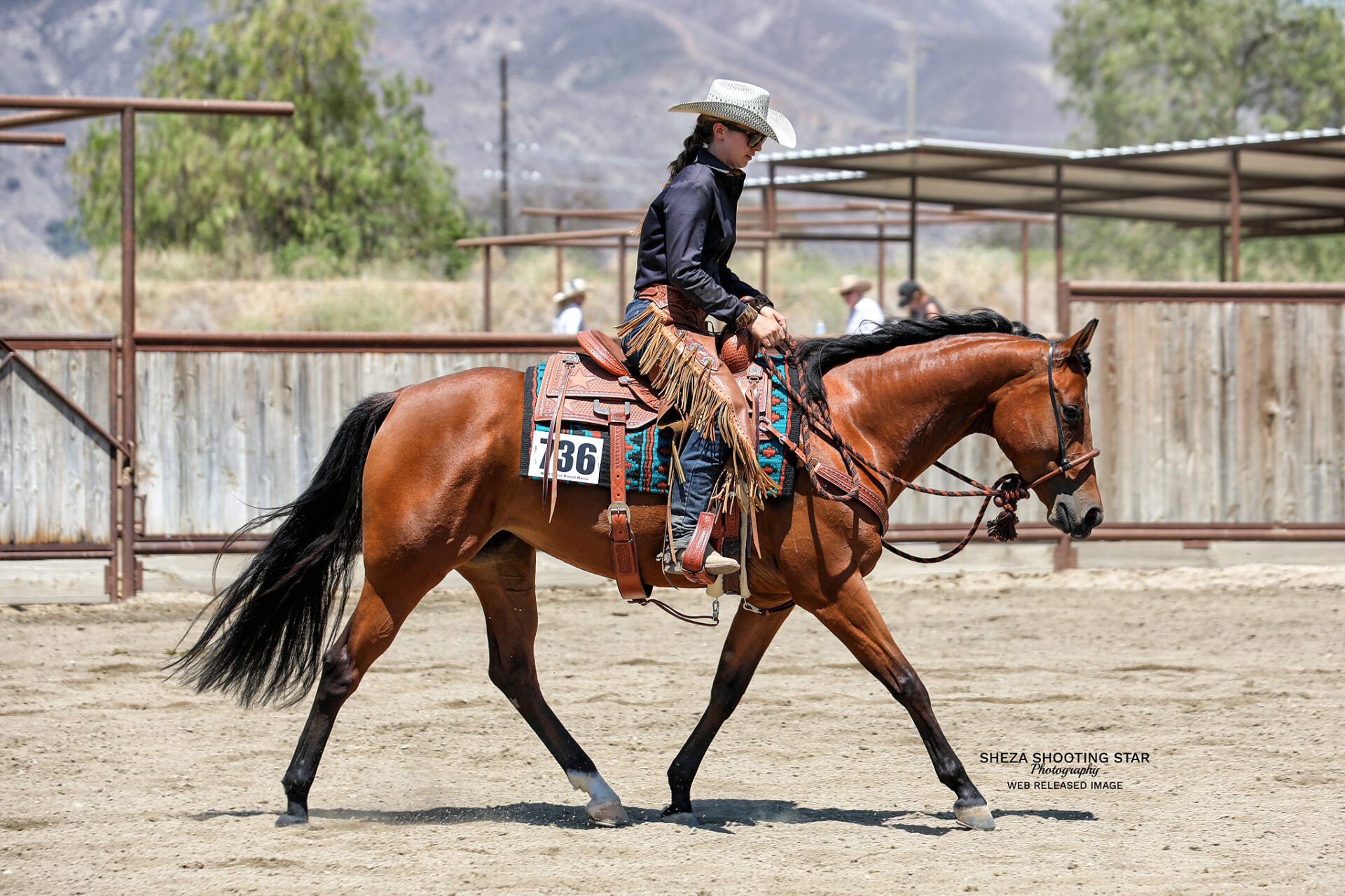 | WCRH 2021 Ranch Horse Spectacular Show
