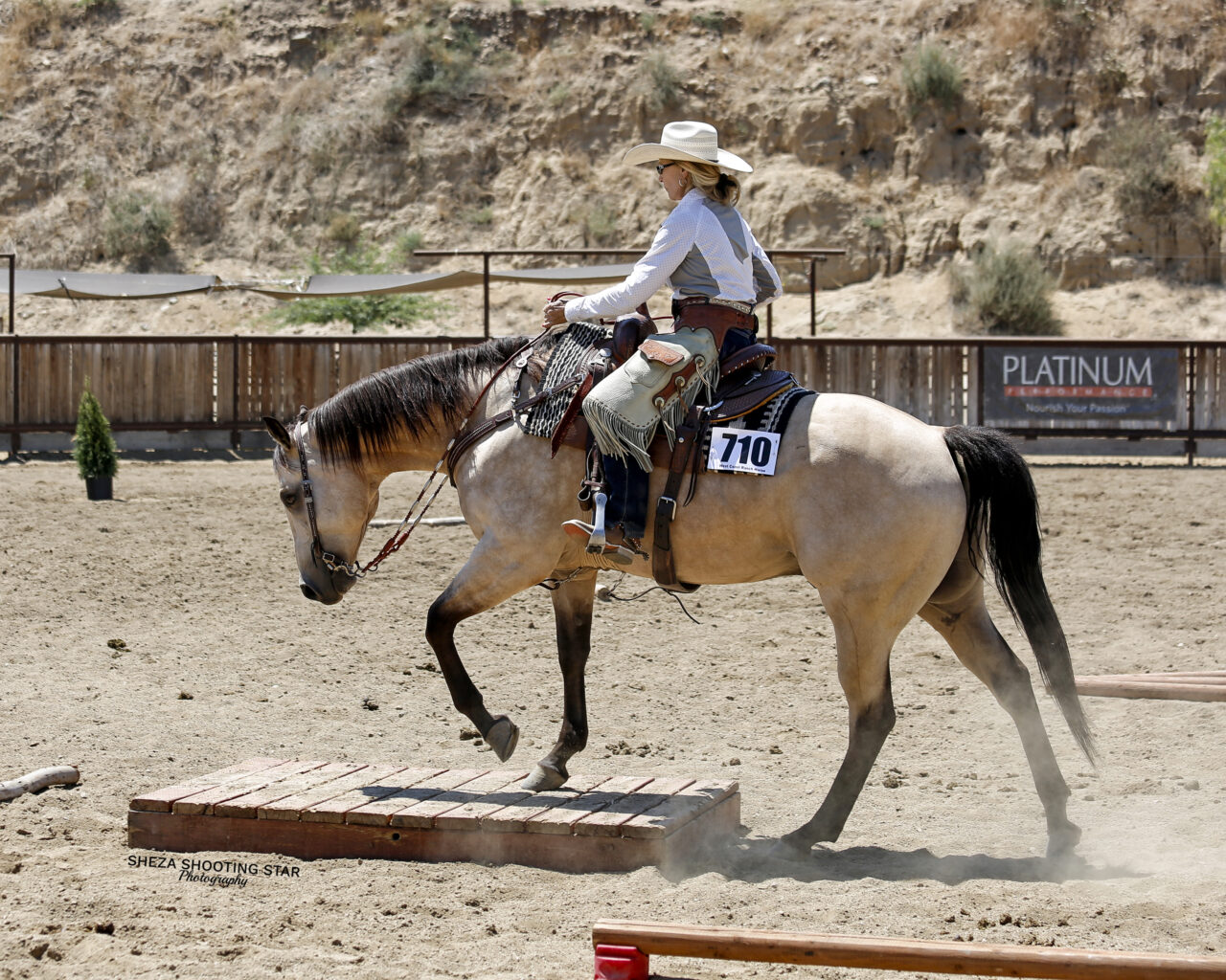 | WCRH 2021 Ranch Horse Spectacular Show